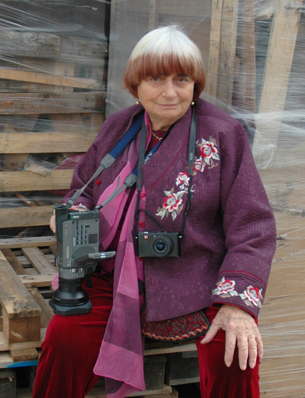 Agnès Varda: Emotion Pictures - POV Magazine