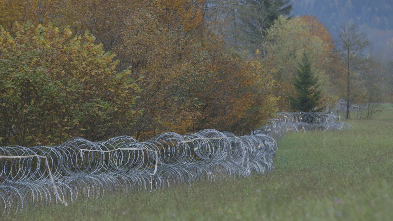 Documenting Migration - POV Magazine