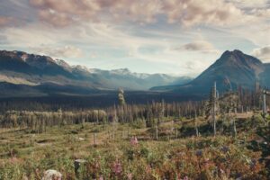 How Yintah Captures the Fight for Witsuwit’en Land - POV Magazine