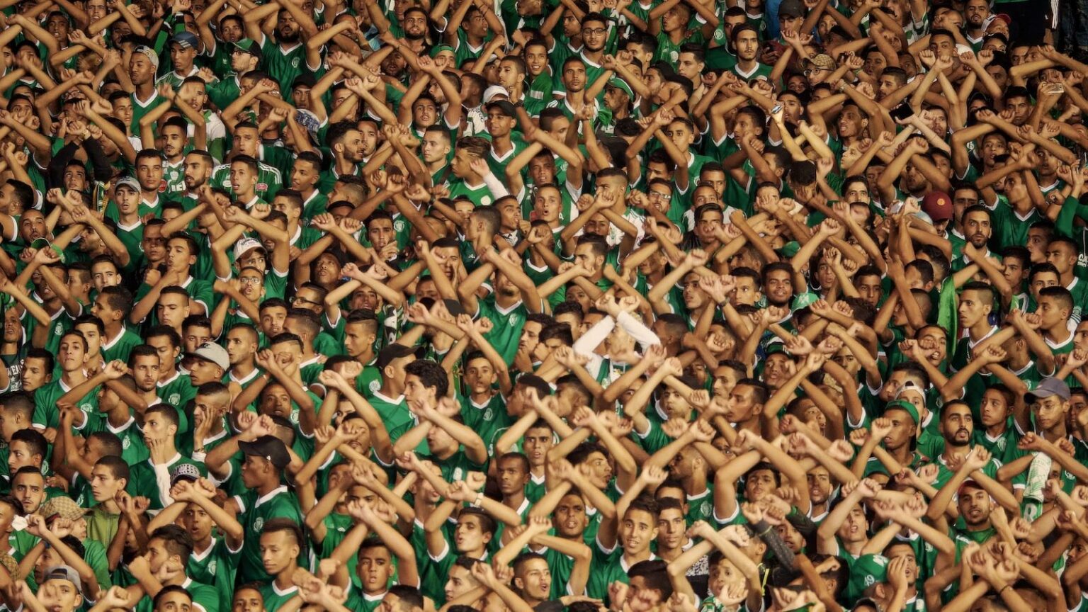 Ultras Review: When Enthusiasm Hits the Fan - POV Magazine